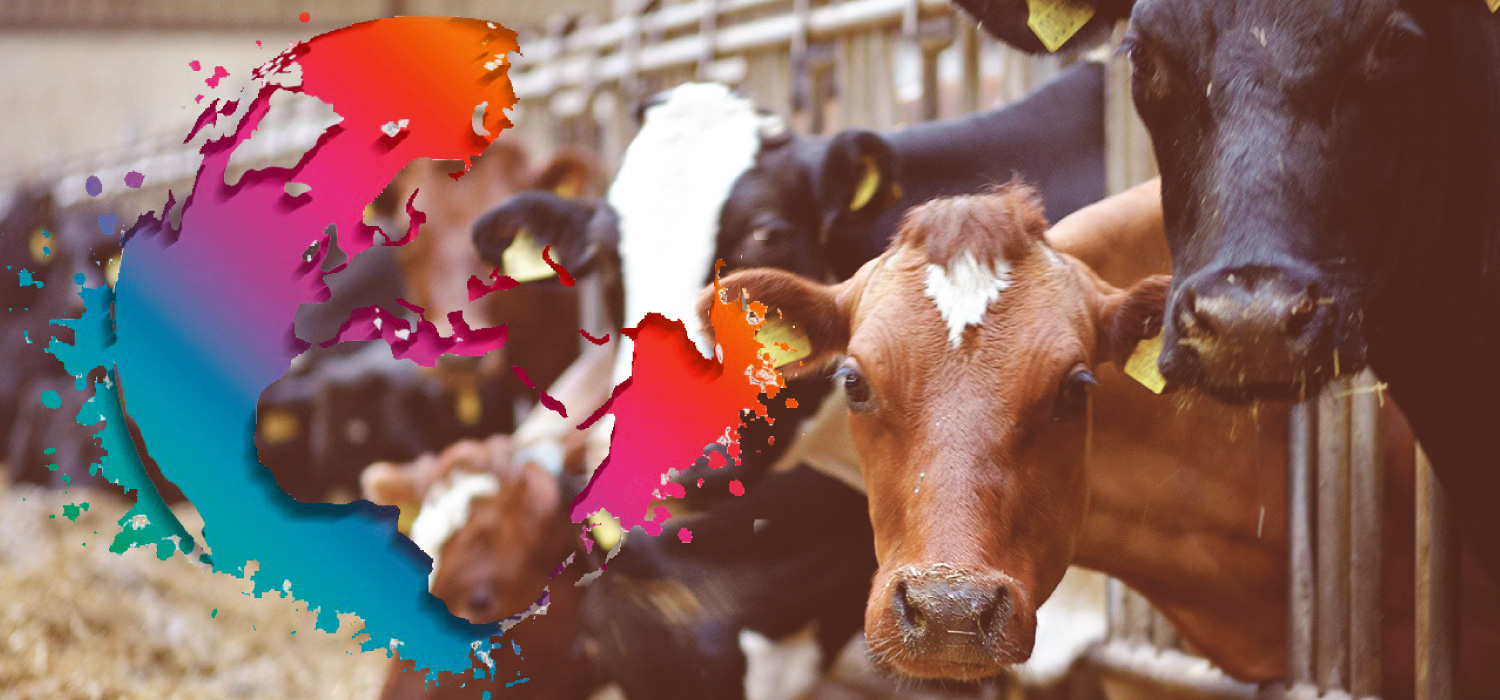 EFA News - European Food Agency - Uniceb lancia l'allarme sulla filiera ...