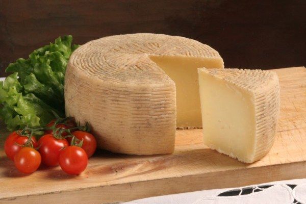 EFA News - European Food Agency - Pecorino Crotonese DOP