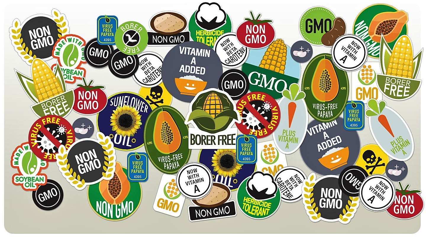 EFA News - European Food Agency - prodotti Ogm, o non Ogm - Ogm ...