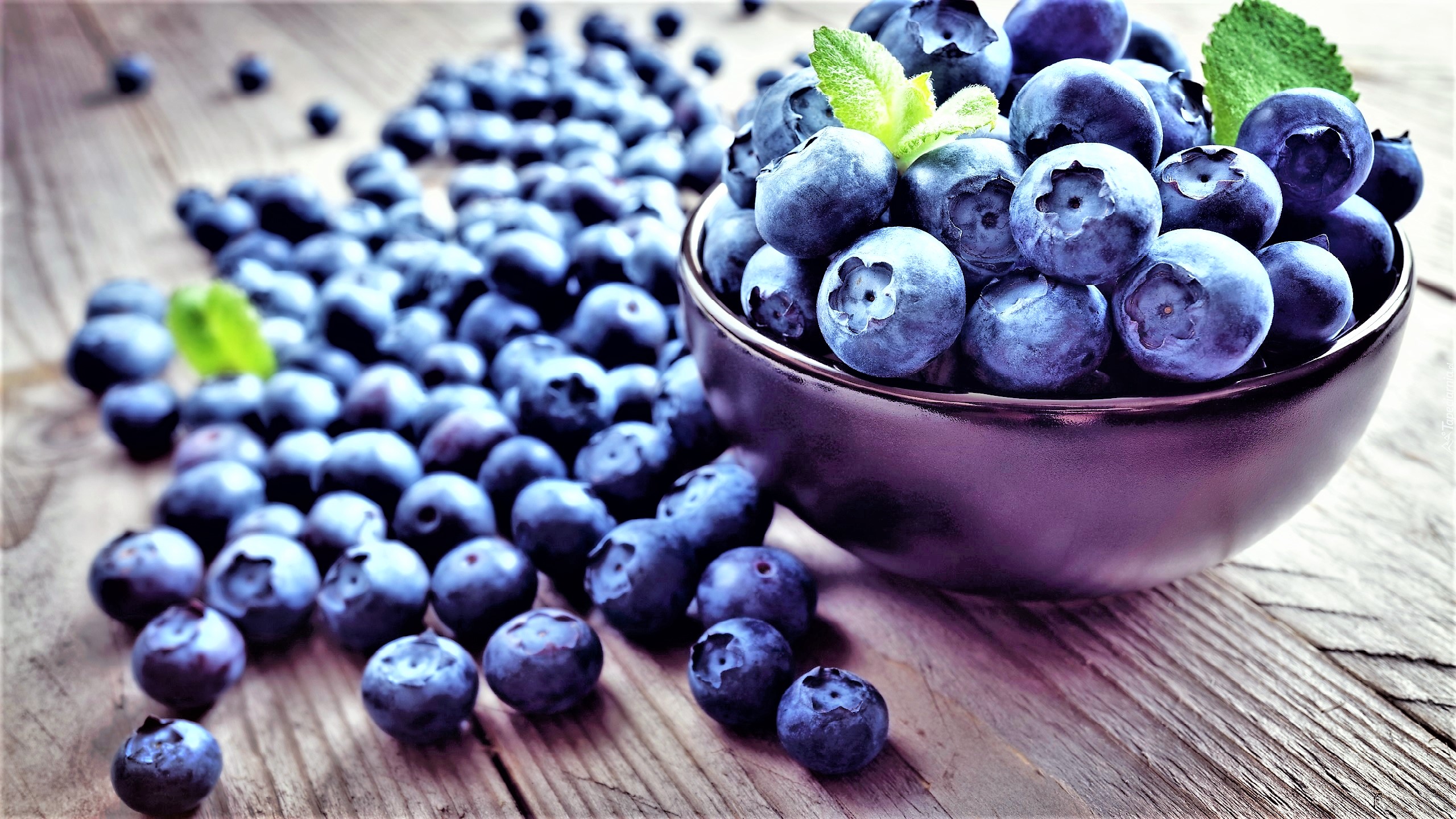 EFA News - European Food Agency - Mirtillo nero